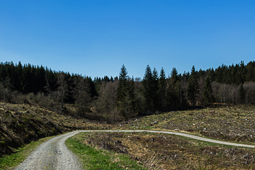 Portfolio | Clavicule Pics